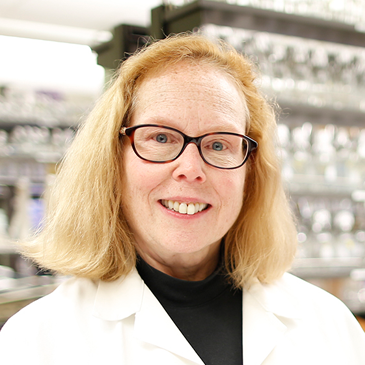 Mary L. (Nora) Disis | Researcher | BCRF